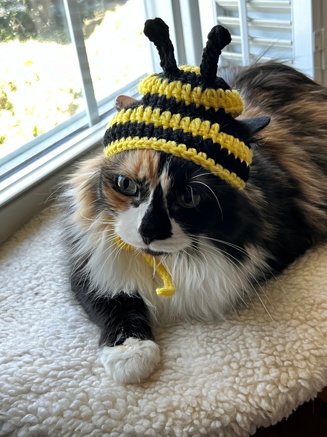 Crochet Bumblebee Cat Hat, Handmade Pet Costume - Etsy