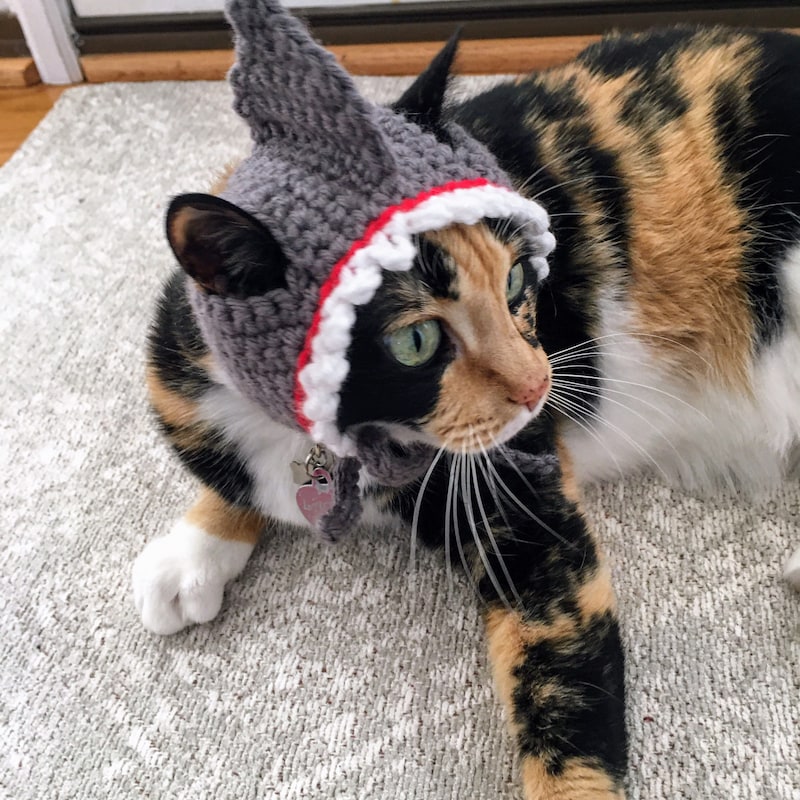 Shark Costumes for Cats - Etsy