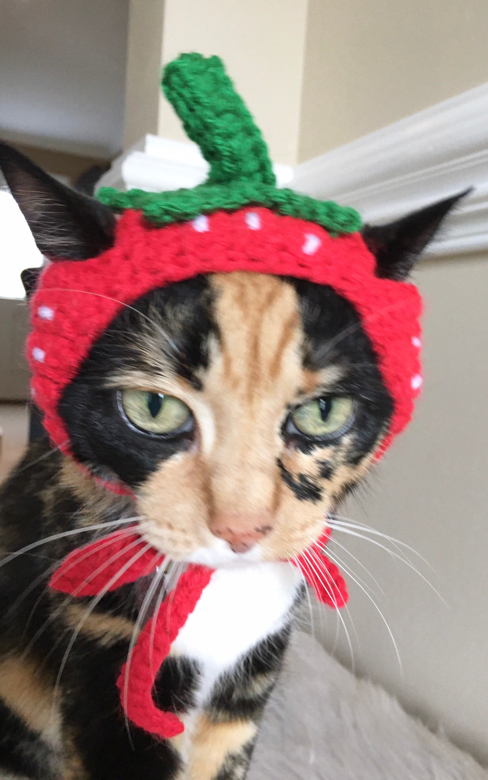 Strawberry cat hat hats for cats cat clothings cat accessories | Etsy