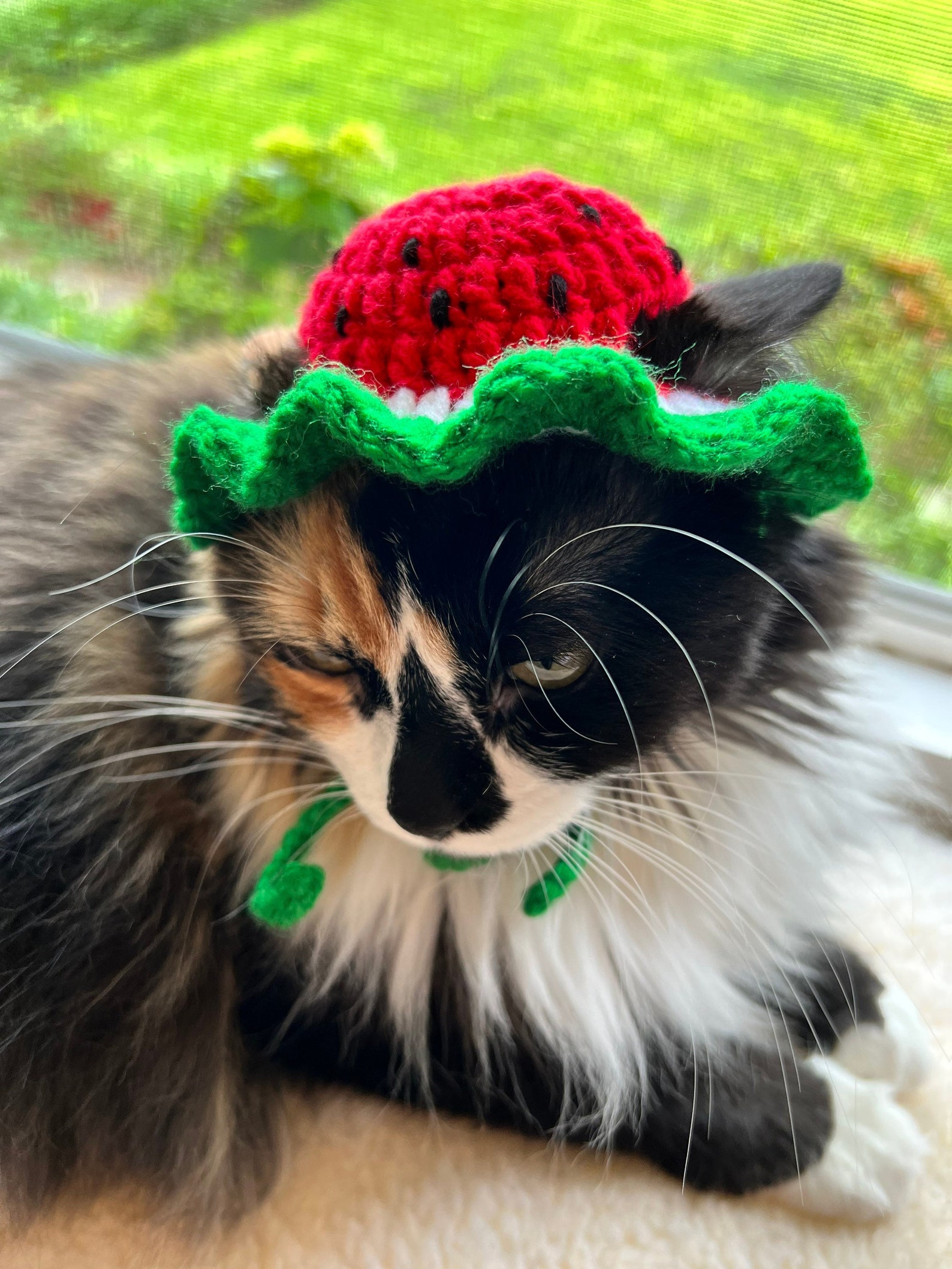 Crochet Watermelon Cat Hat Cat Clothing Cat Accessories Cat Costumes ...