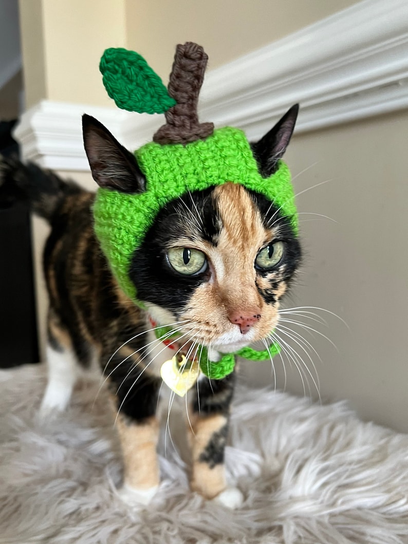 Green Apple Cat Hat Cat Accessories Cat Costumes Cat Supplies - Etsy