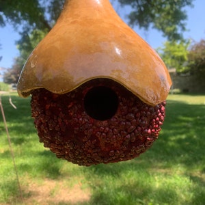 Gourd Birdhouse, Knobby Gourd, Hand Painted Apple Top Red Gourd ...