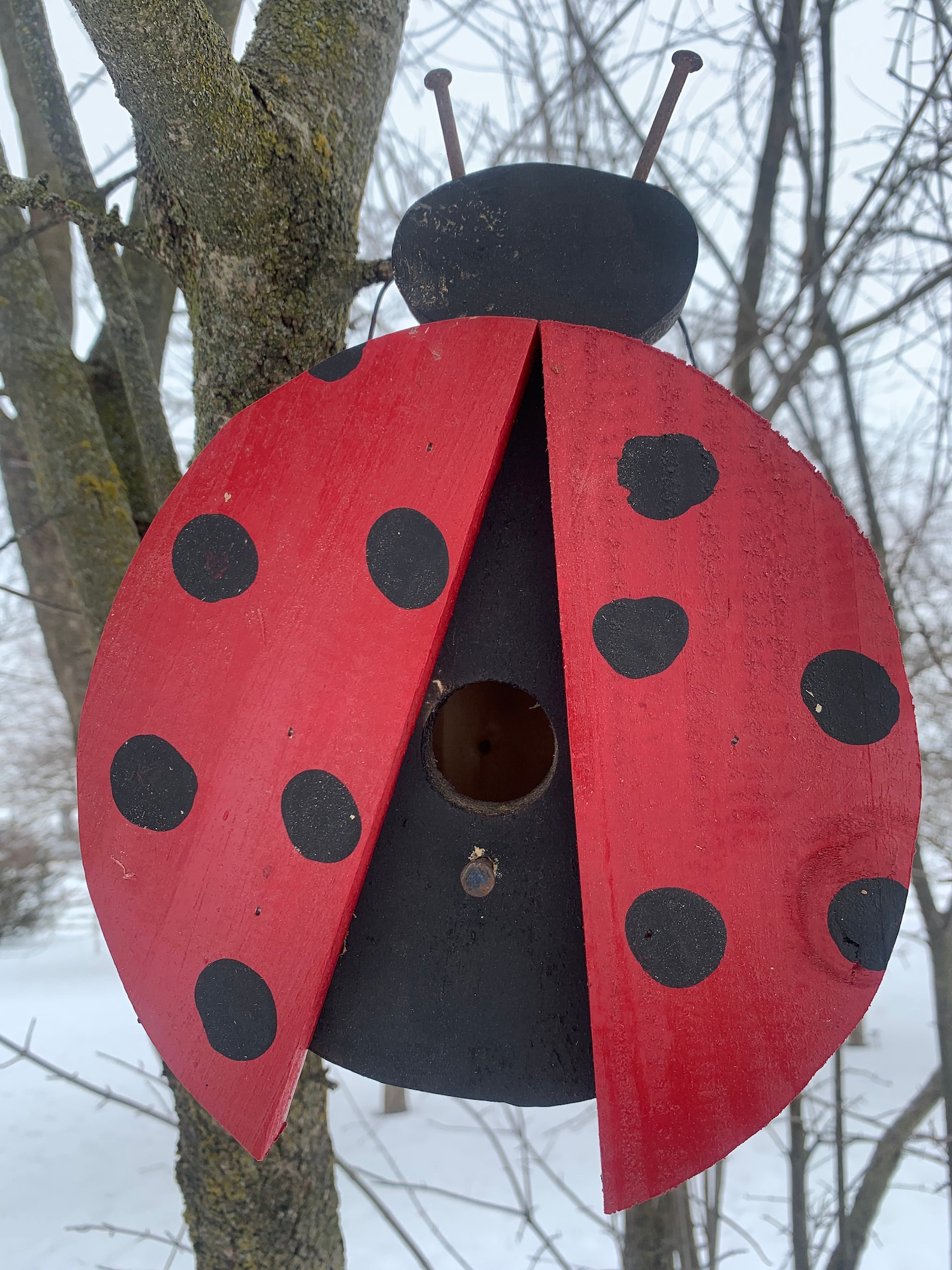 Ladybug Birdhouse Rustic Decor Amish Handmade - Etsy