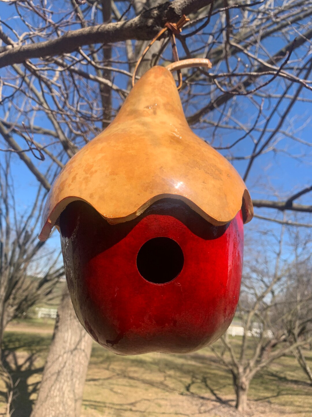 Gourd Birdhouse, Hand Painted Red Gourd, Birdhouse, Garden Art, Painted ...