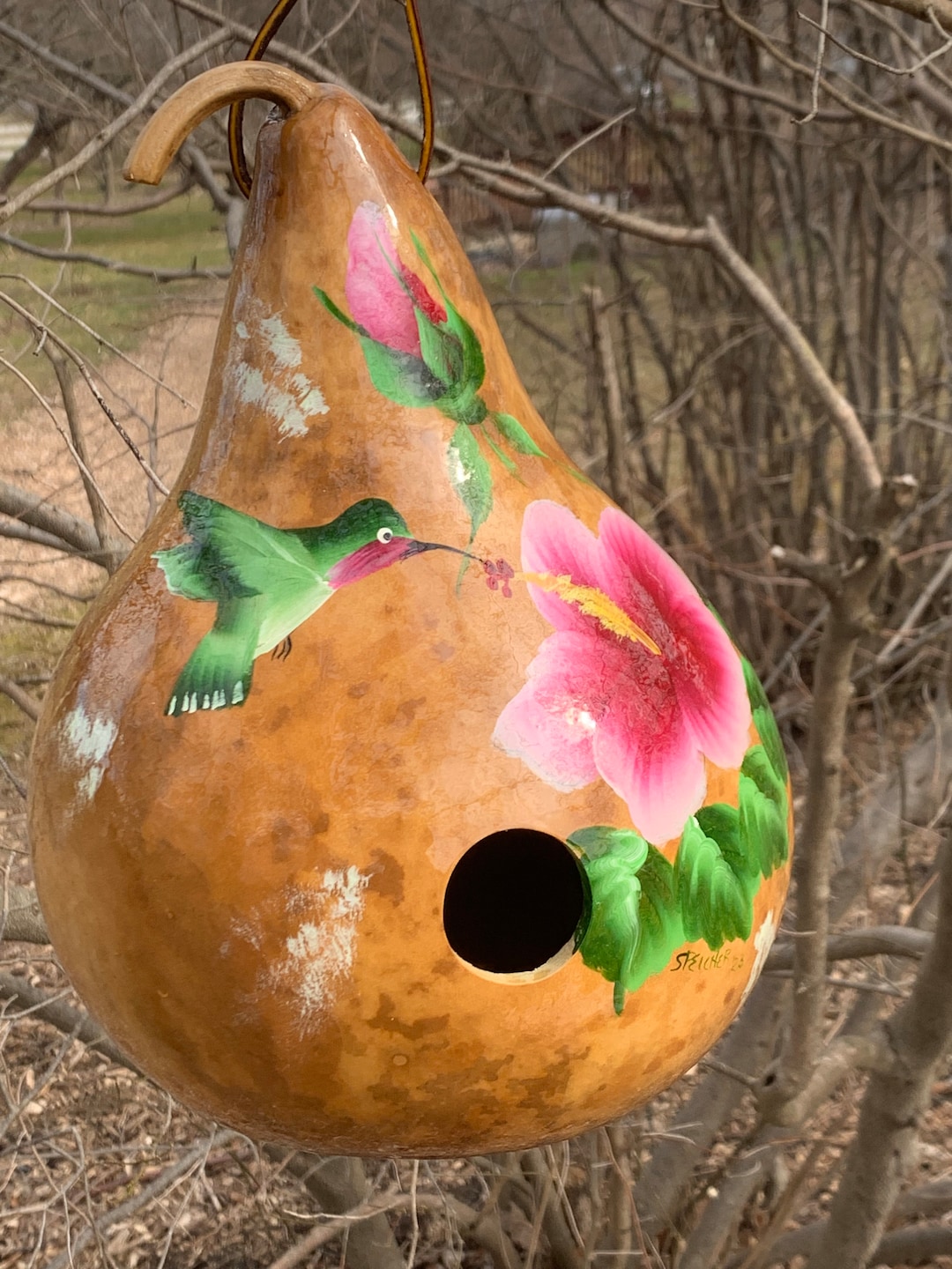 Gourd Birdhouse, Hand Painted Hummingbird Gourd, Birdhouse, Garden Art ...