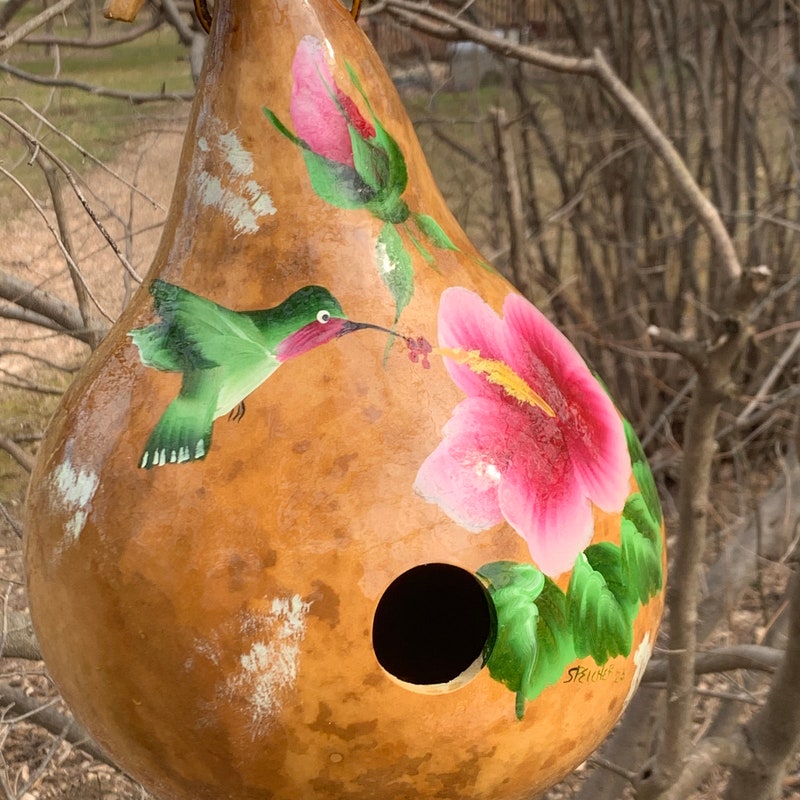 Hummingbird Gourd - Etsy