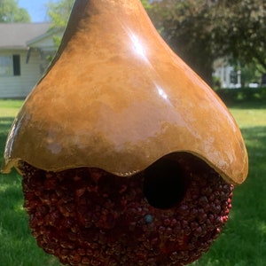 Gourd Birdhouse, Knobby Gourd, Hand Painted Apple Top Red Gourd ...