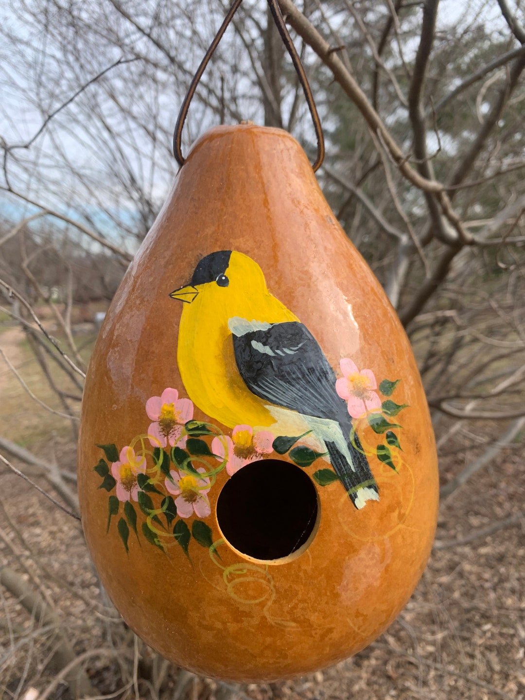 Gourd Birdhouse, Hand Painted Gold Finch Gourd, Birdhouse, Garden Art ...