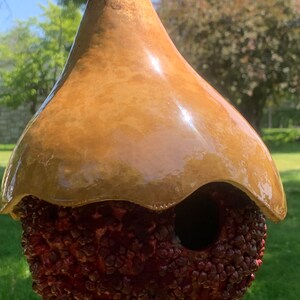 Gourd Birdhouse, Knobby Gourd, Hand Painted Apple Top Red Gourd ...
