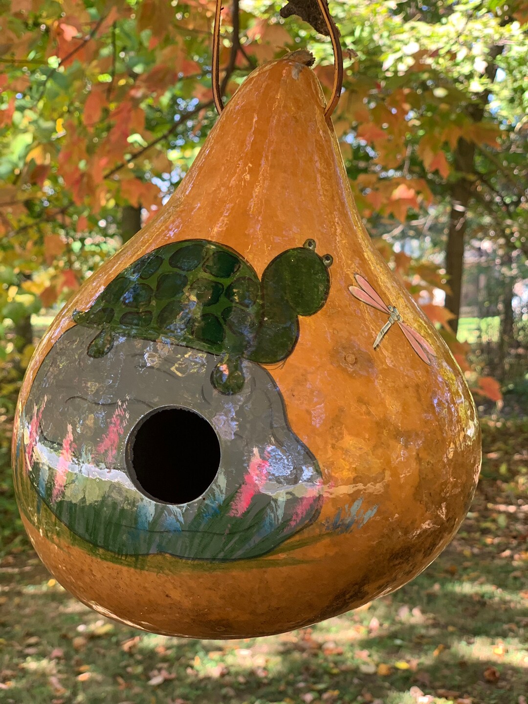 Gourd Birdhouse, Hand Painted Turtle Dragonfly Design Gourd, Birdhouse ...