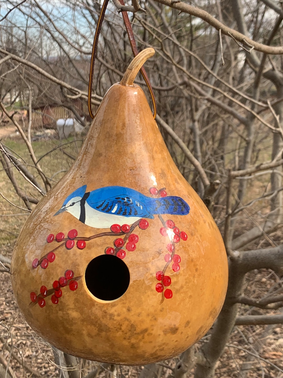 Gourd Birdhouse, Hand Painted Blue Jay Gourd, Birdhouse, Garden Art ...
