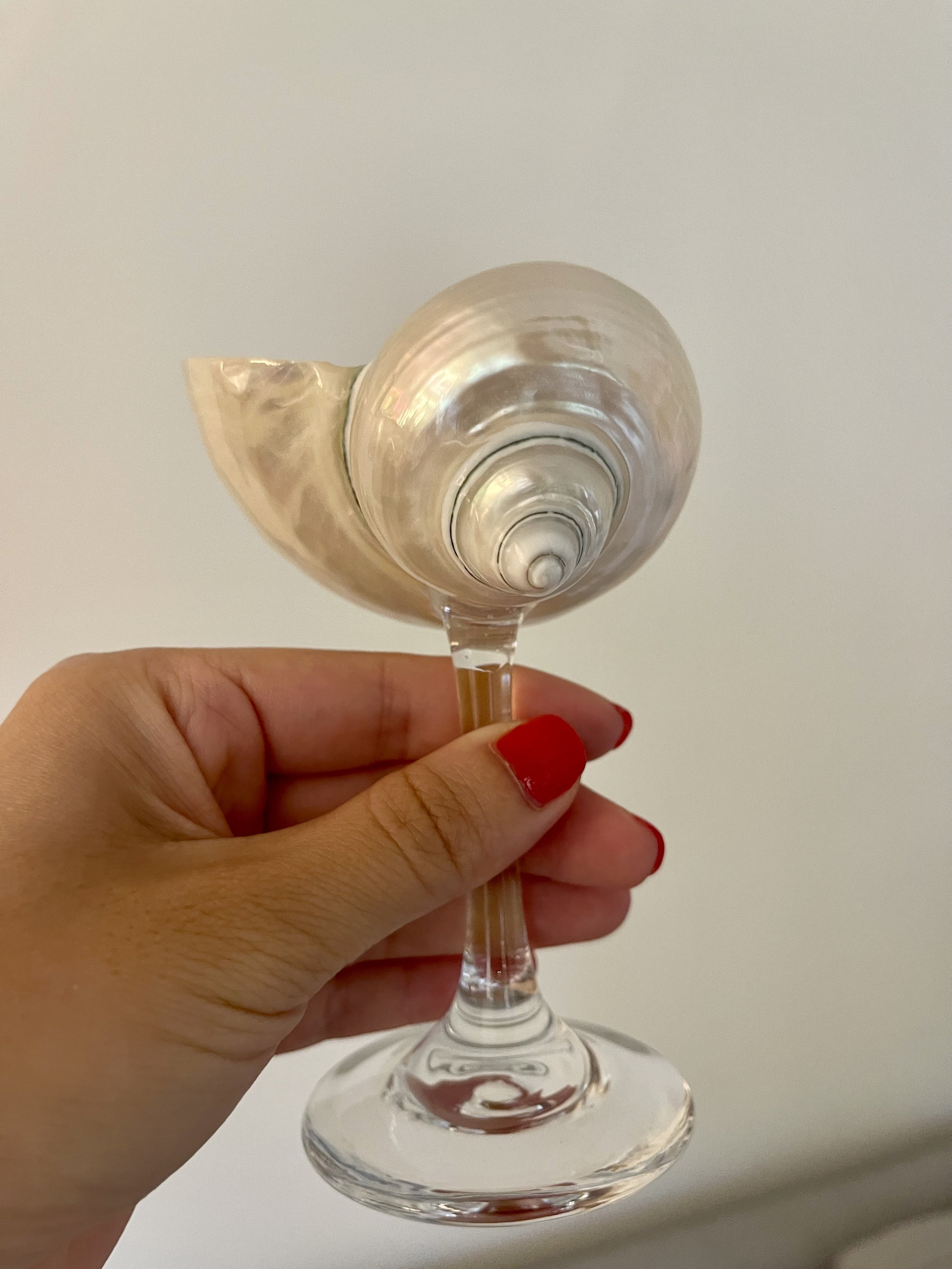 Shell Wine Glasses - Etsy