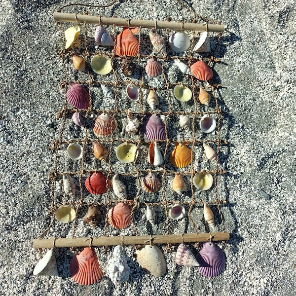 Seashell Wall Art - Etsy
