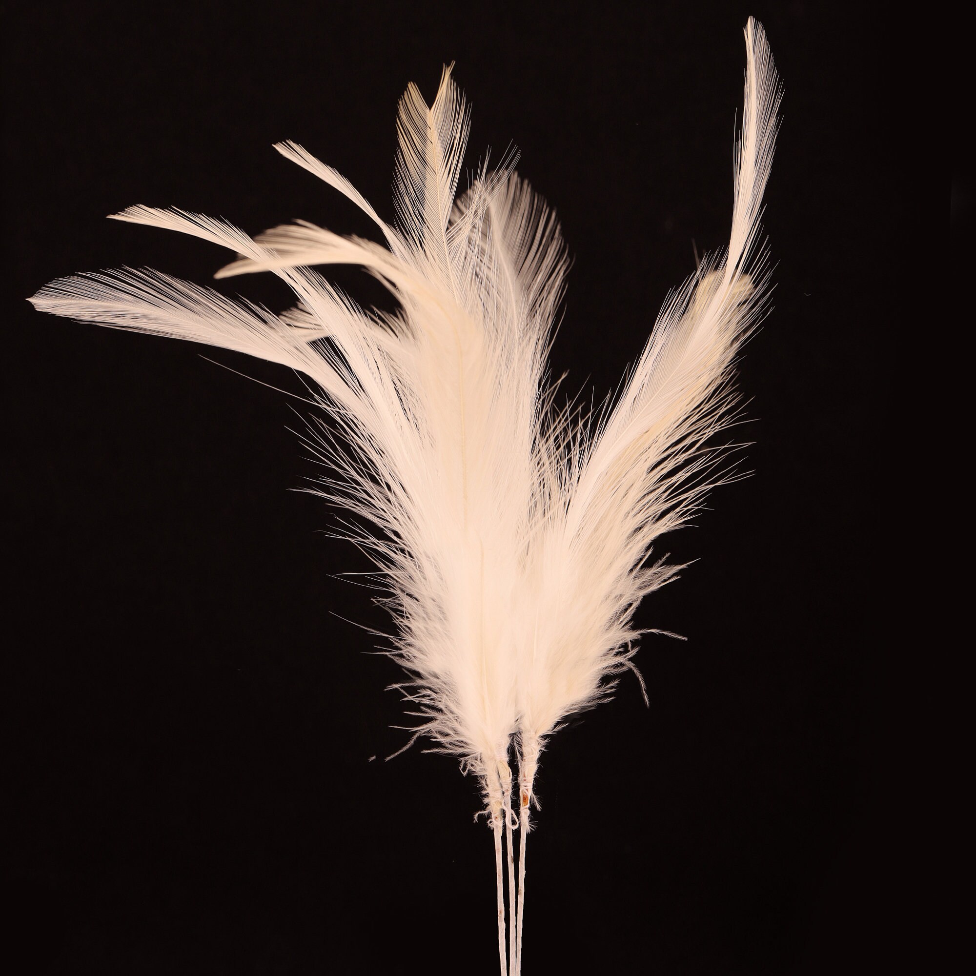 Multi-color Feather for Bollywood Traditional Safa Kalangi Decoration ...