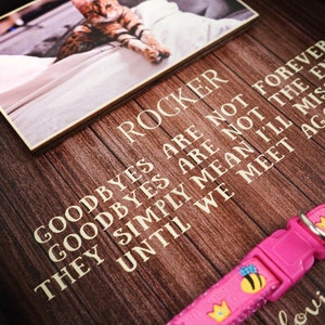 Customized Pet Memorial Shadow Box, Collar Display, Thoughtful Gift for ...