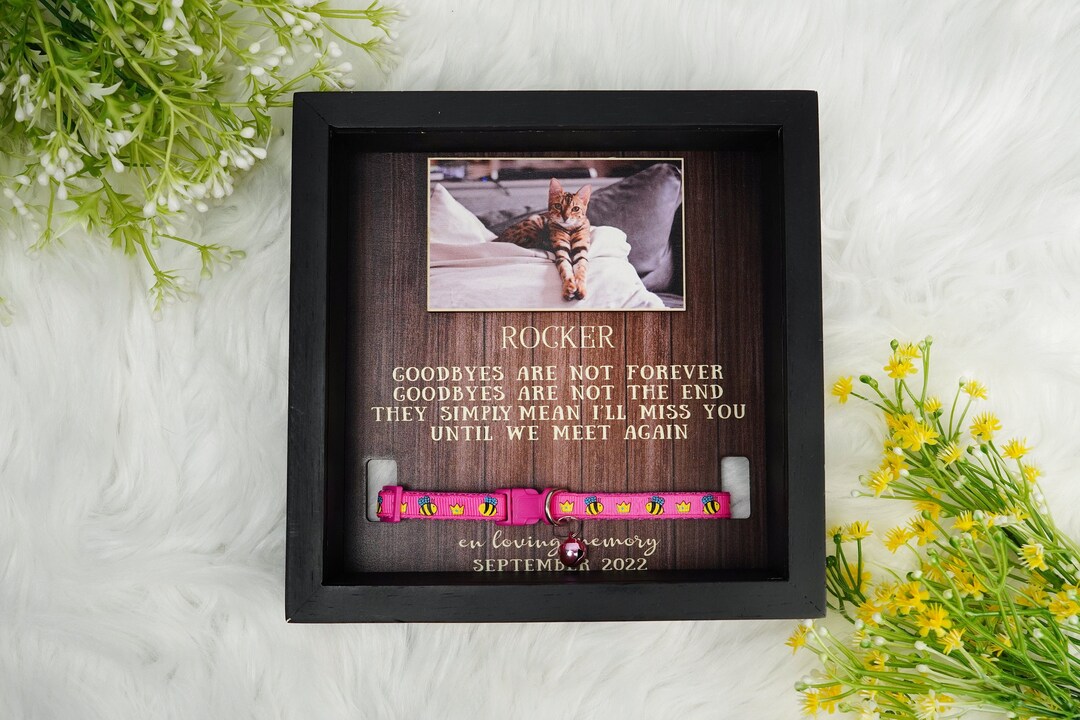Customized Pet Memorial Shadow Box, Collar Display, Thoughtful Gift for ...