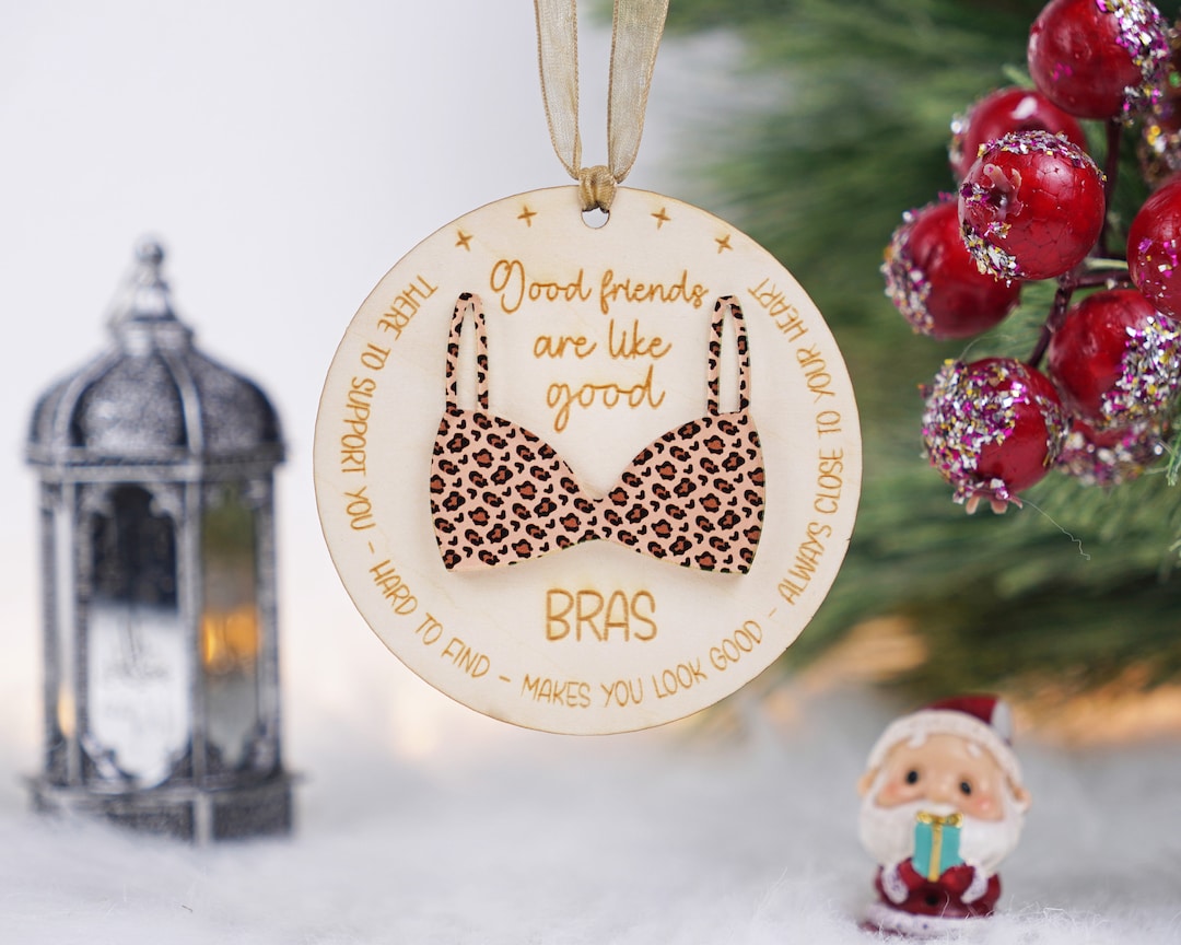 Funny Christmas Bra Ornament for Best Friend, Co-worker, Sister, A Good ...