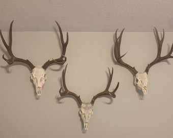 European Pack Mount - Etsy