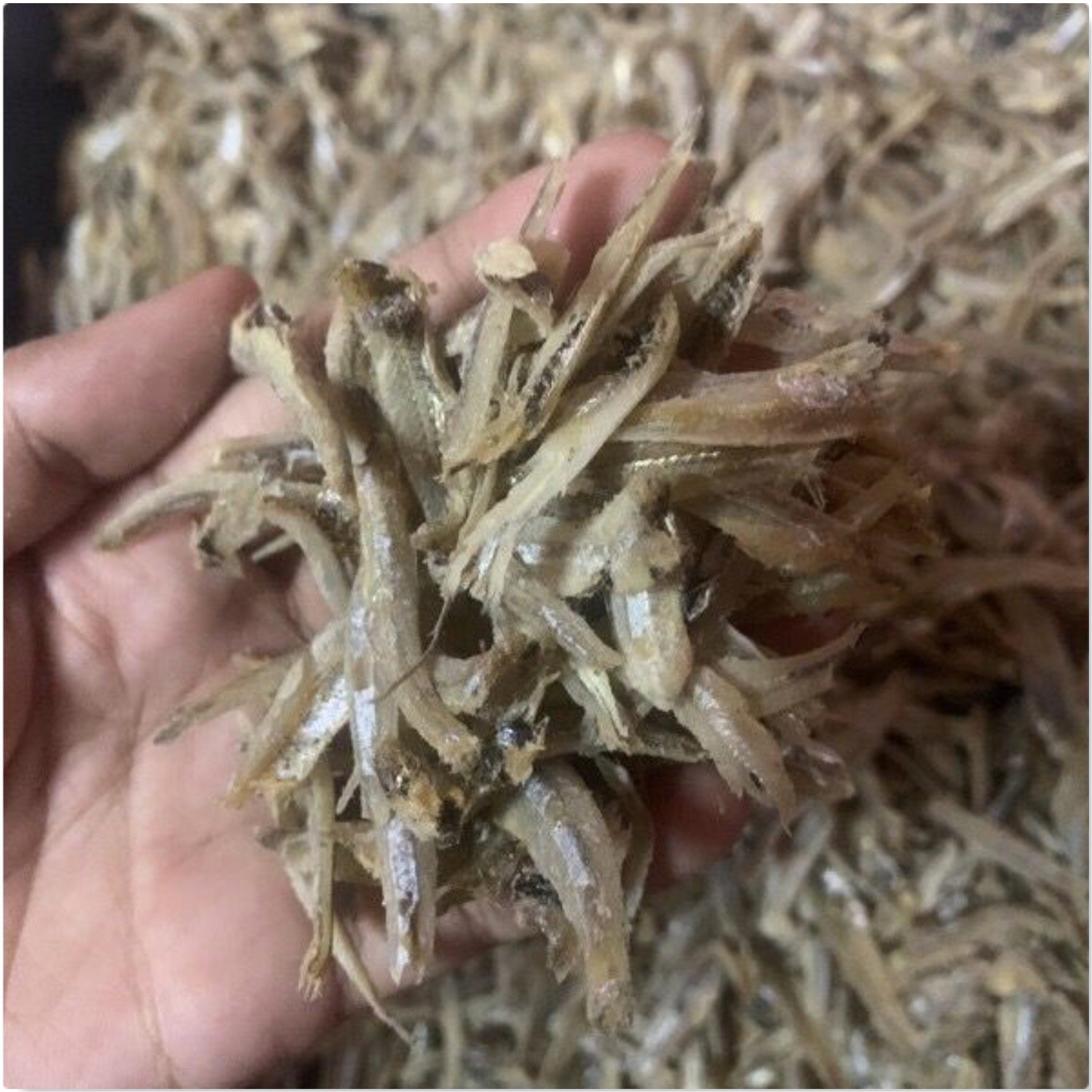 Dried Anchovies 450g 100% Natural & Organic Fresh Anchovies High ...