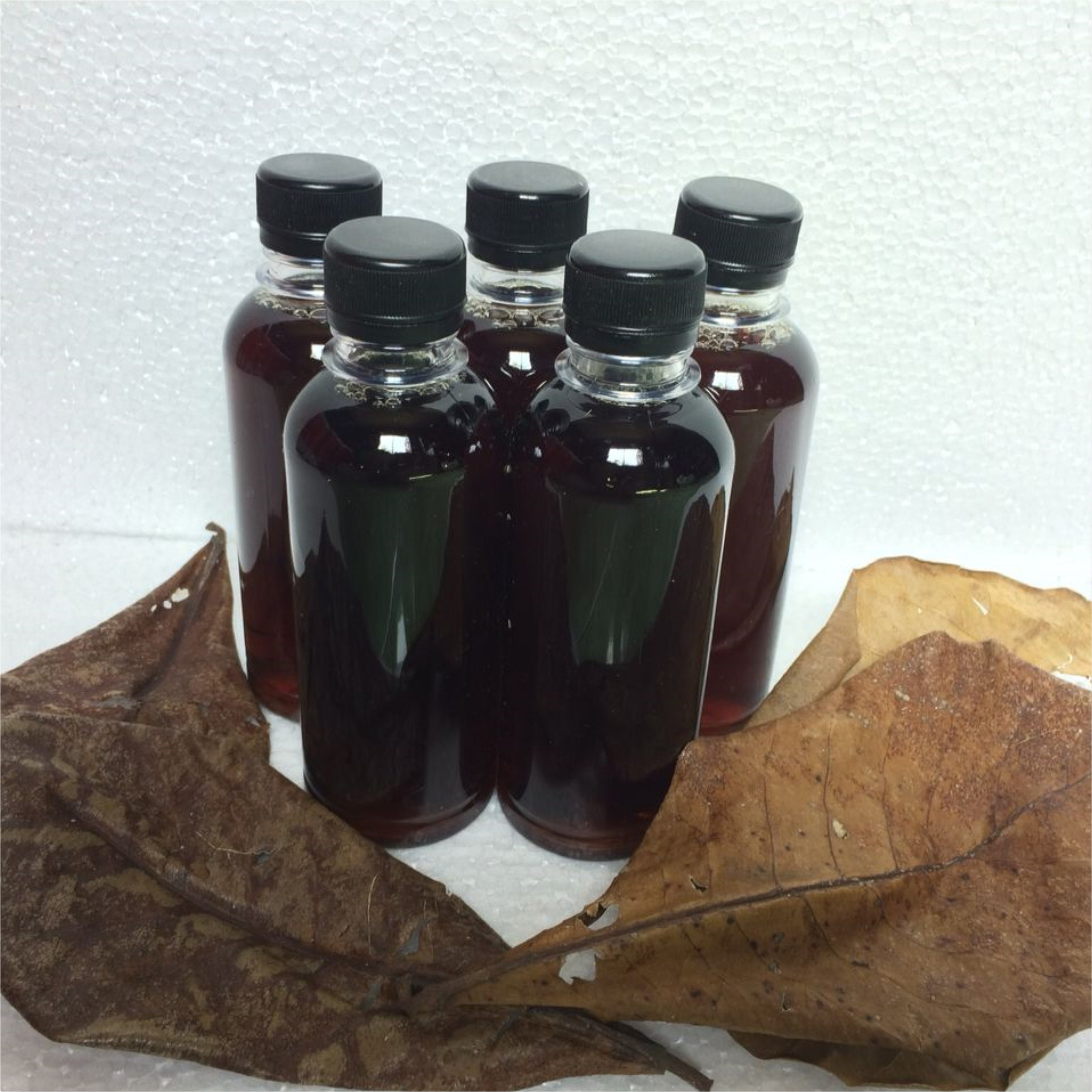 2x Indian Almond Catappa Leaves Extract for Bettas Black Water ...