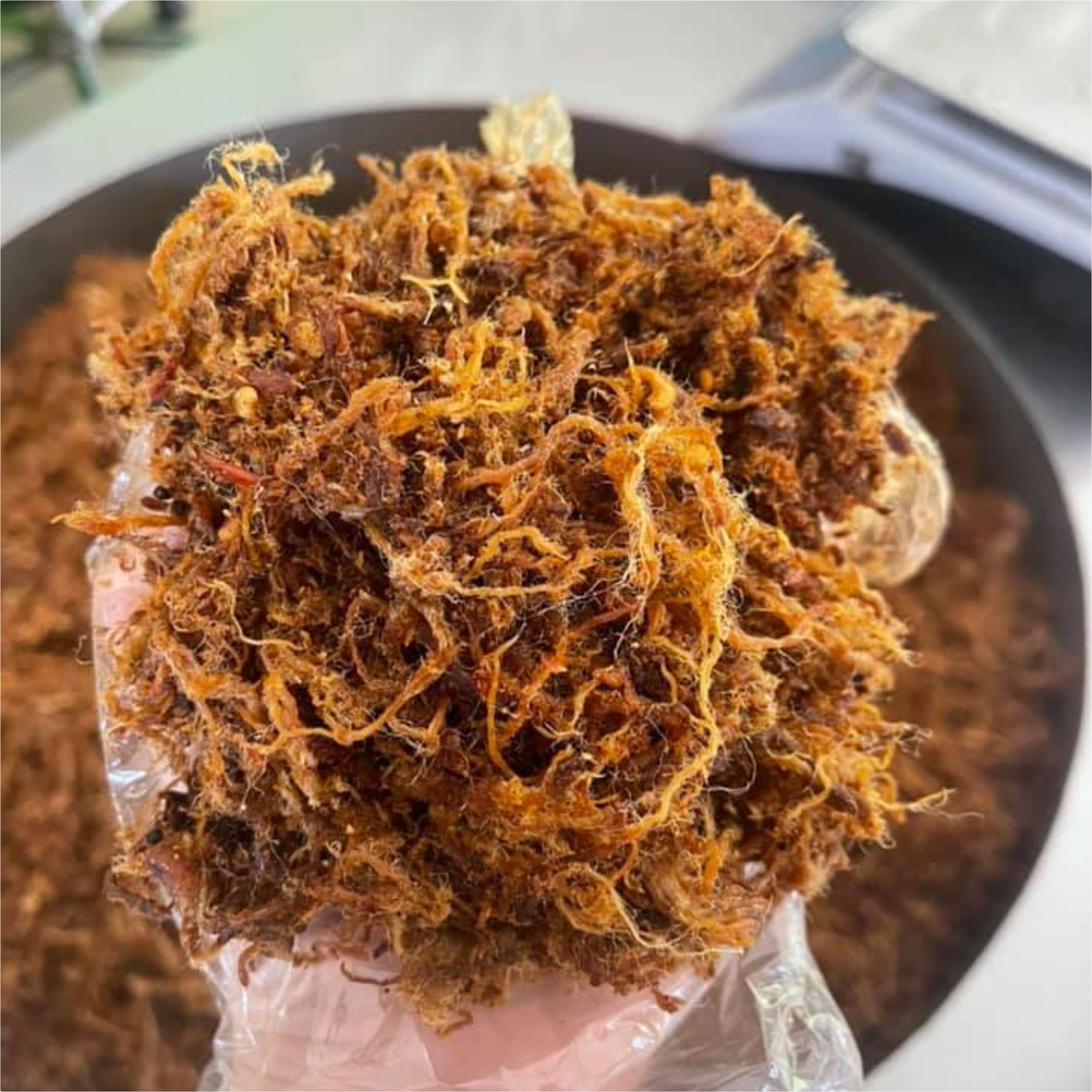 Fresh Dried Beef Floss Organic 450g Meat Floss/serunding Daging Vacuum ...