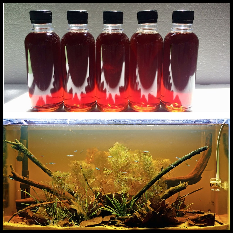 2x Indian Almond Catappa Leaves Extract for Bettas Black Water ...