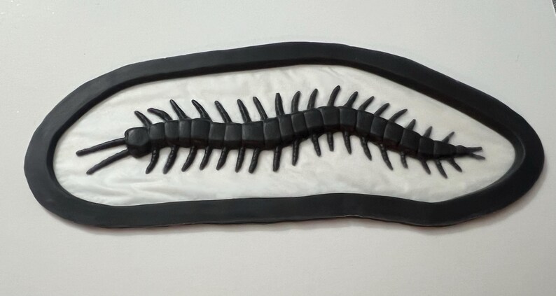 Bug Prosthetic Silicone Insect Makeup Scolopendra - Halloween Sfx - Etsy