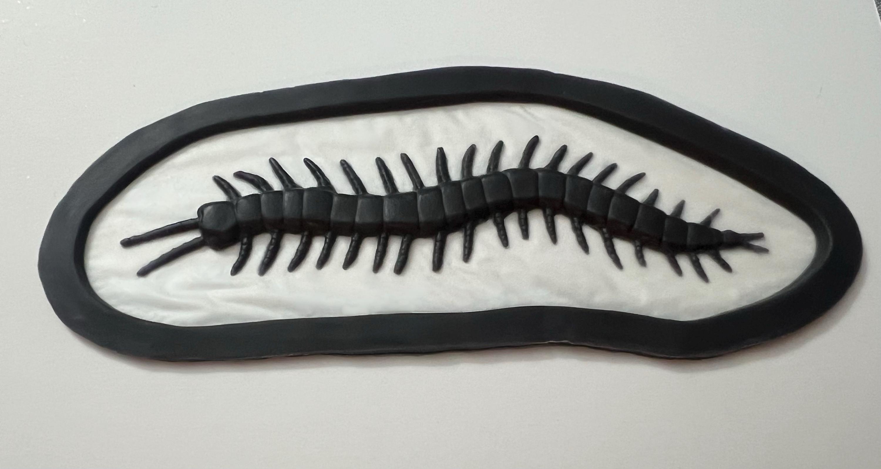 Bug Prosthetic Silicone Insect Makeup Scolopendra - Halloween Sfx - Etsy