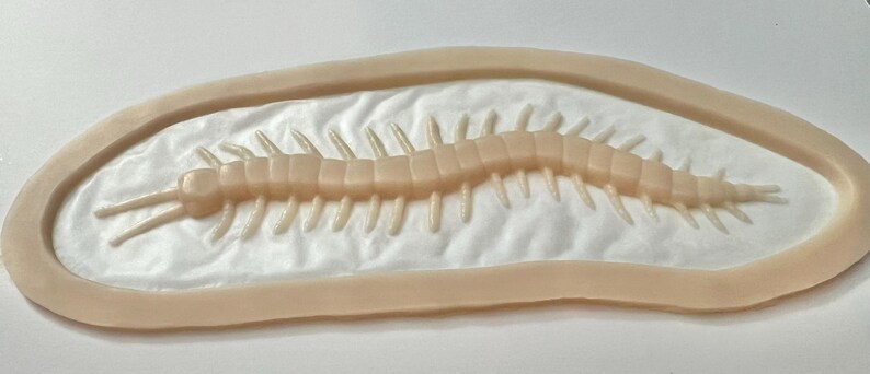 Bug Prosthetic Silicone Insect Makeup Scolopendra - Halloween Sfx - Etsy
