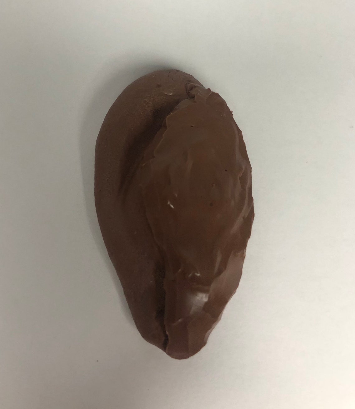 Oreja Falsa Oreja De Silicona Fake Ear Silicone Ear Ear | Etsy