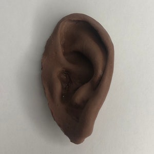 Fake Ear, Silicone Ear, Fake Ear, Silicone Ear, Ear Prop - Etsy