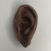 Fake Ear, Silicone Ear, Fake Ear, Silicone Ear, Ear Prop - Etsy