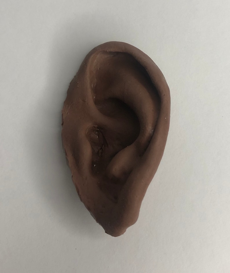 Fake Ear, Silicone Ear, Fake Ear, Silicone Ear, Ear Prop - Etsy
