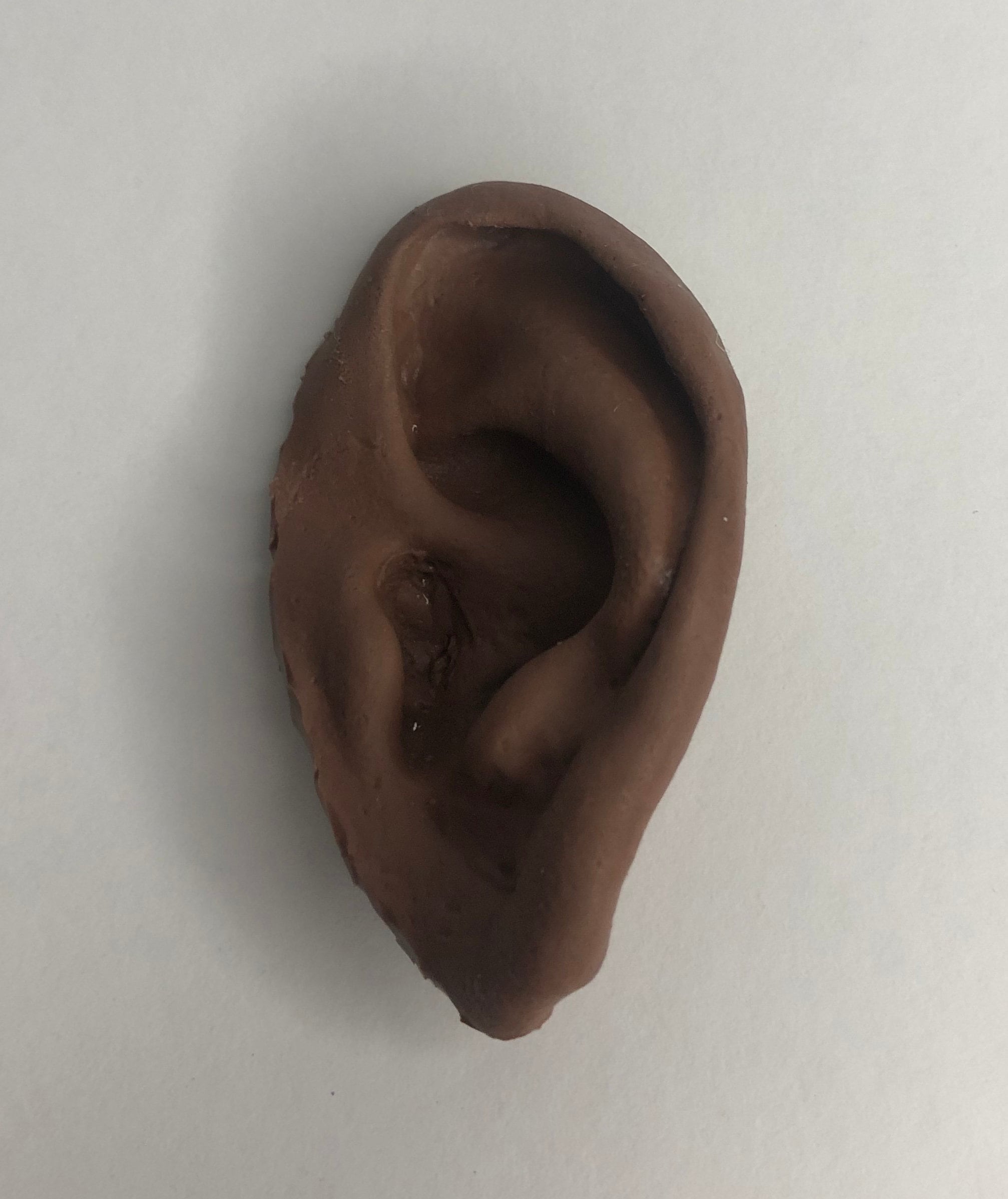 Fake Ear, Silicone Ear, Fake Ear, Silicone Ear, Ear Prop - Etsy