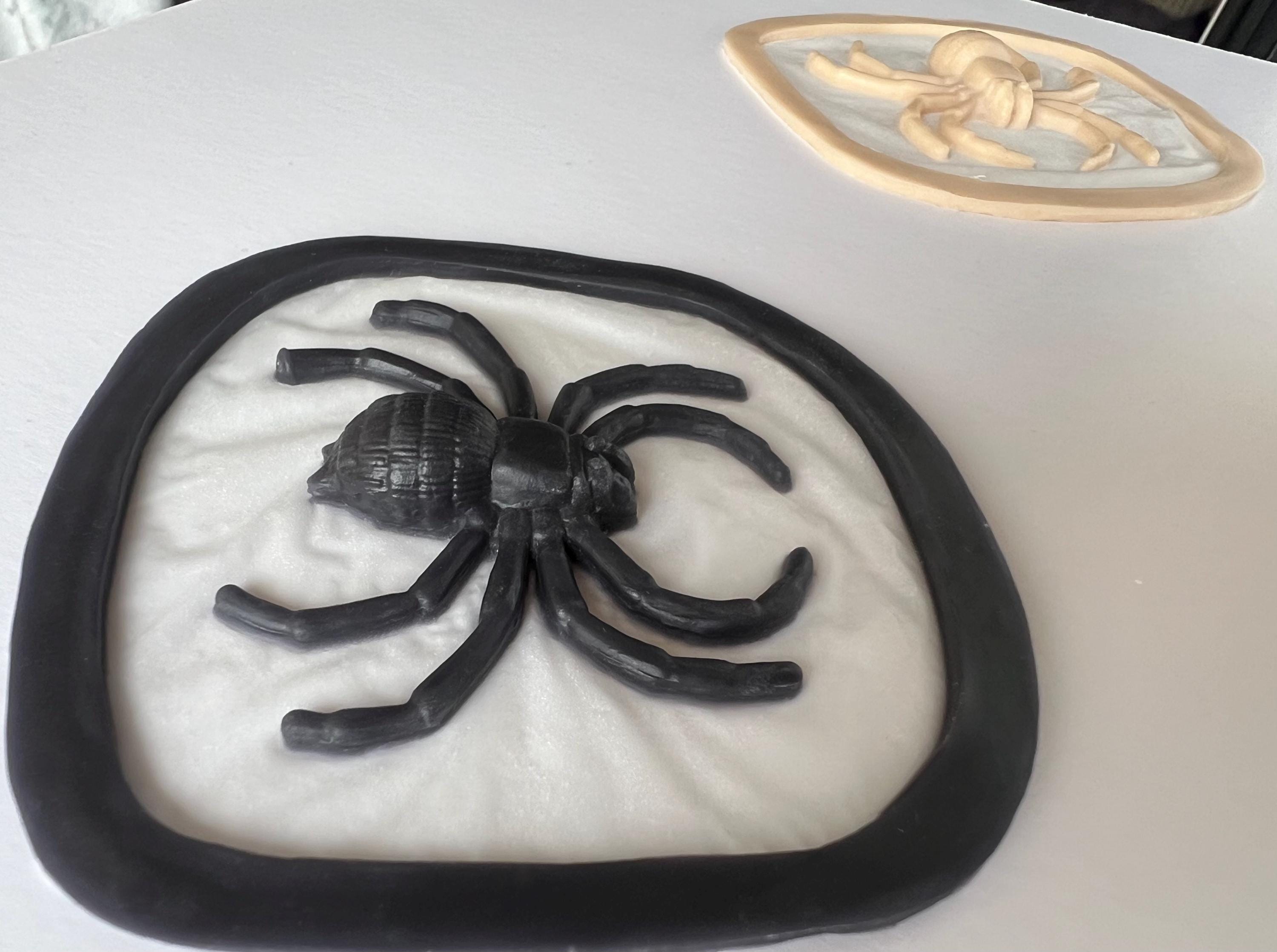 Spider Prosthetic Silicone - Tarantula Bugs Fake Realistic Makeup - Etsy