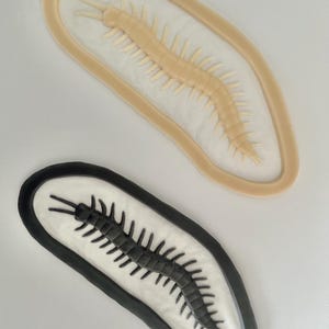 Bug Prosthetic Silicone Insect Makeup Scolopendra - Halloween Sfx - Etsy