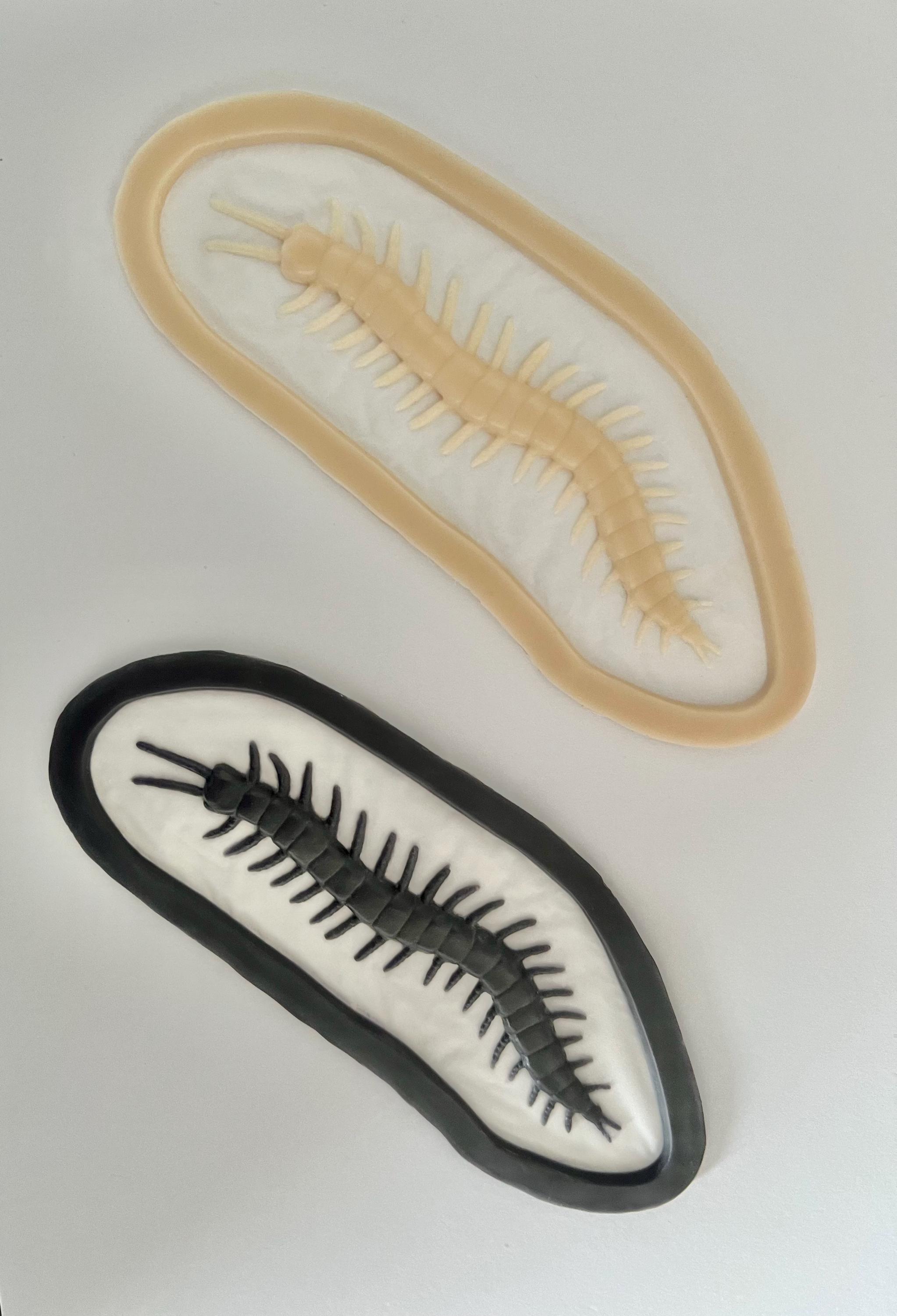 Bug Prosthetic Silicone Insect Makeup Scolopendra - Halloween Sfx - Etsy