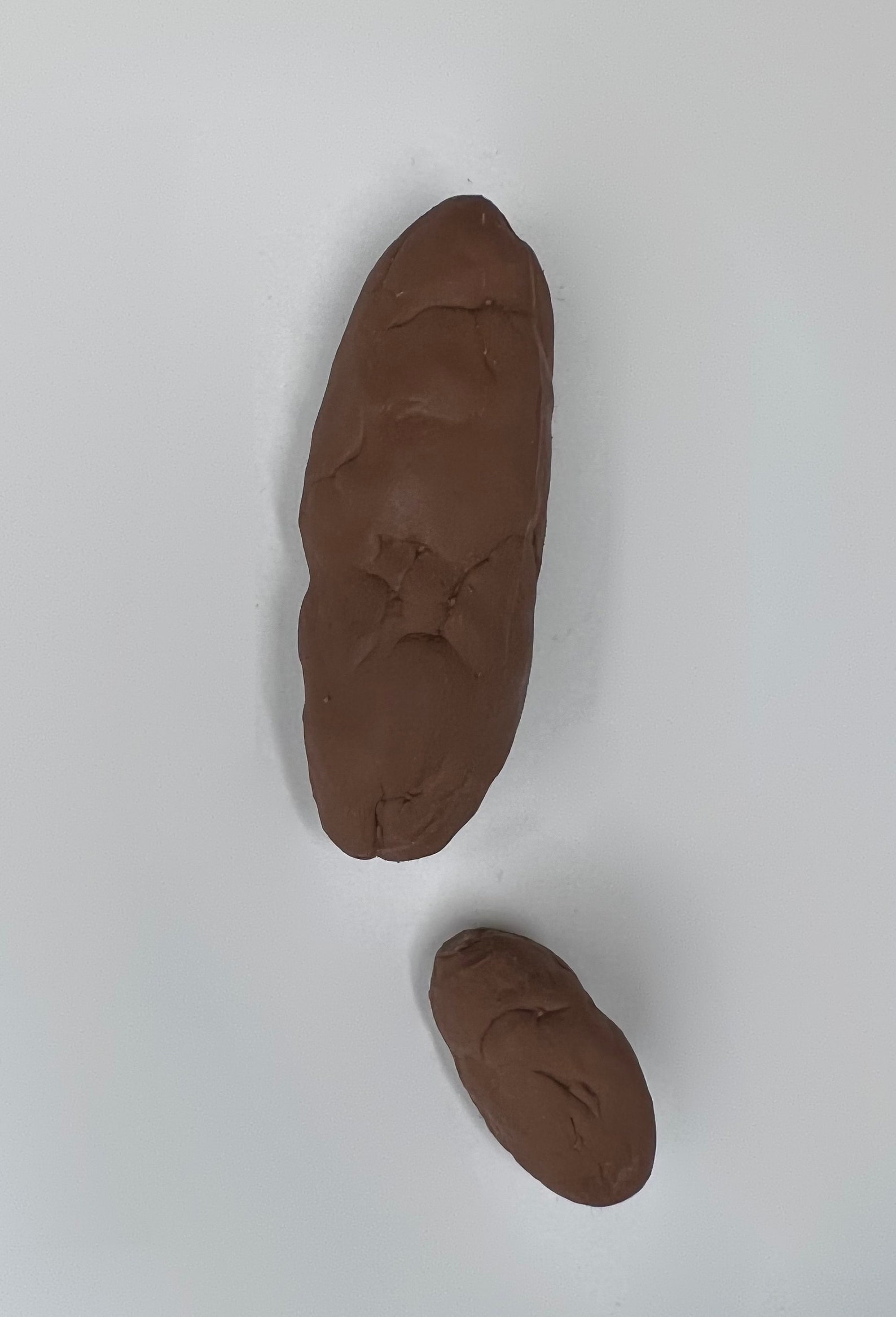 Fake Poop fake Shit Caca Falsa Caca Broma Gato O Perro Funny Gift Joke ...