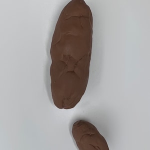 Fake Poop fake Shit Caca Falsa Caca Broma Gato O Perro Funny Gift Joke ...