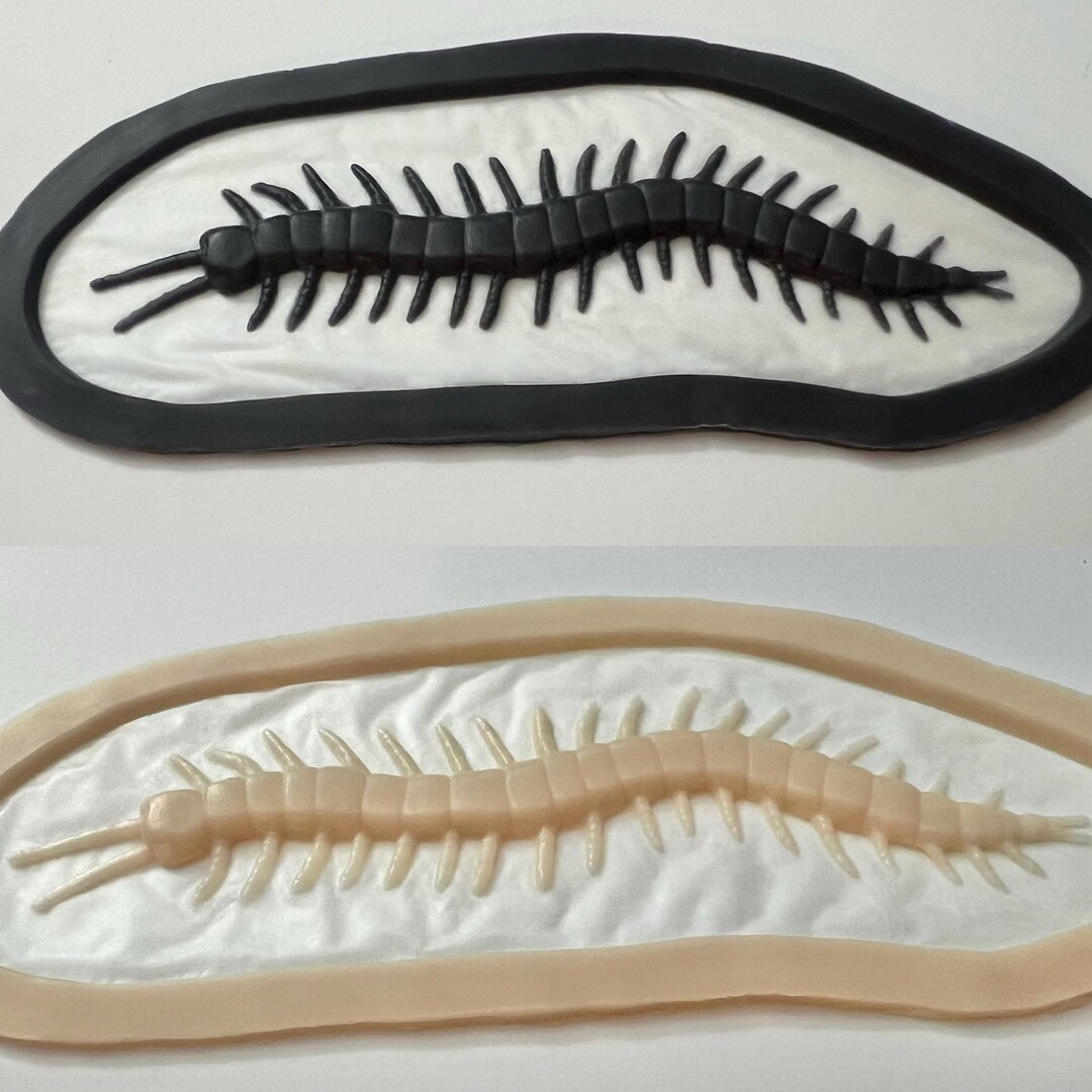Bug Prosthetic Silicone Insect Makeup Scolopendra - Halloween Sfx - Etsy