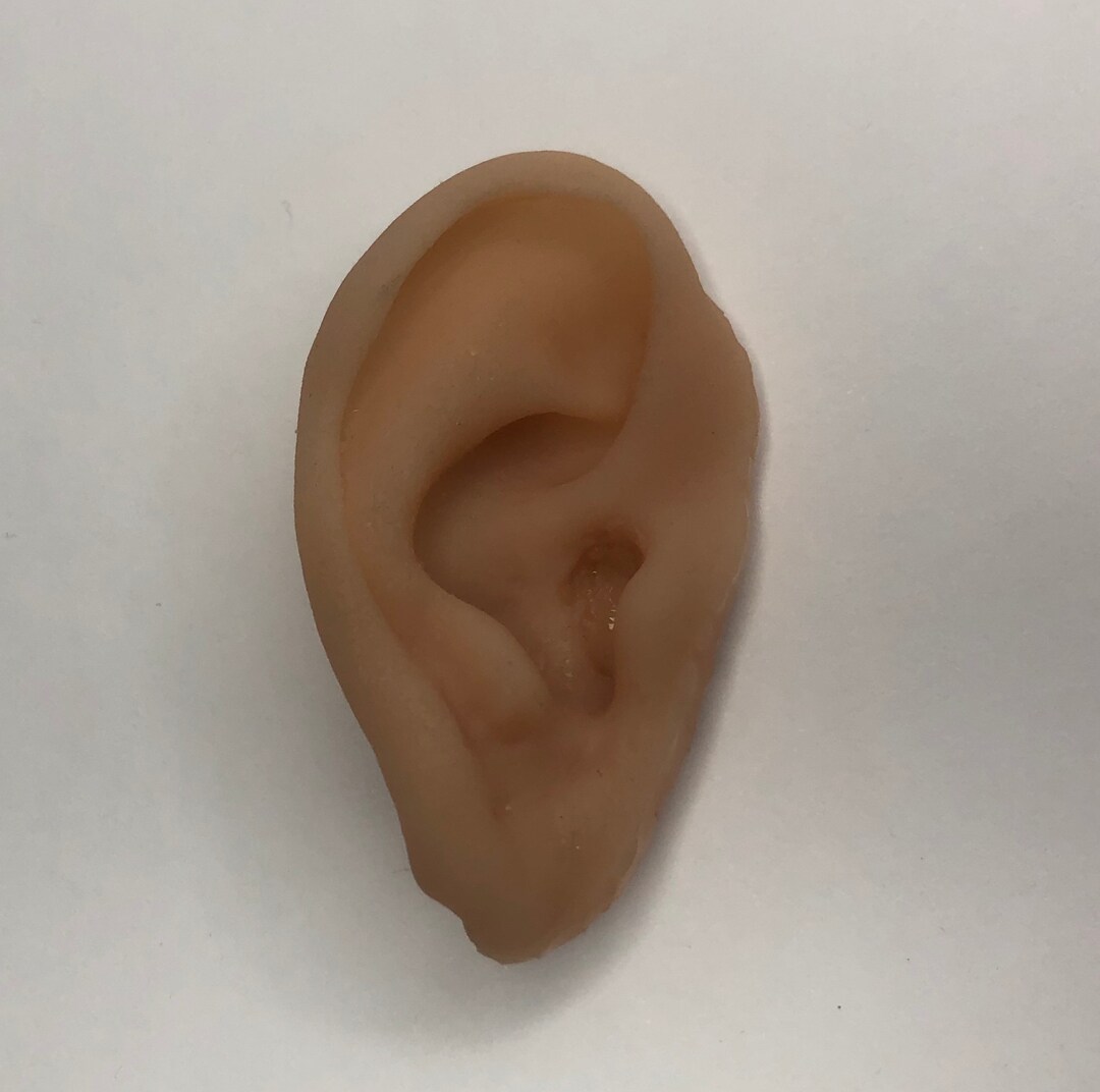 Fake Ear, Silicone Ear, Fake Ear, Silicone Ear, Ear Prop - Etsy