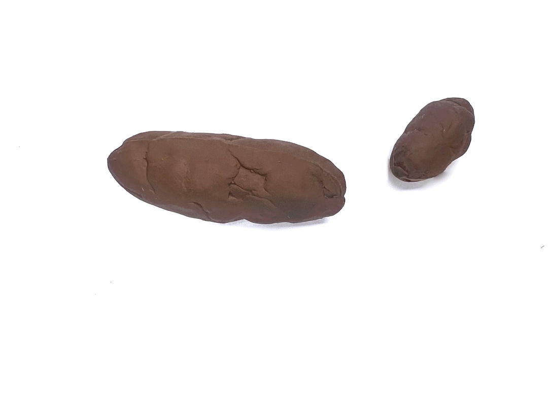 Fake Poop fake Shit Caca Falsa Caca Broma Gato O Perro Funny Gift Joke ...