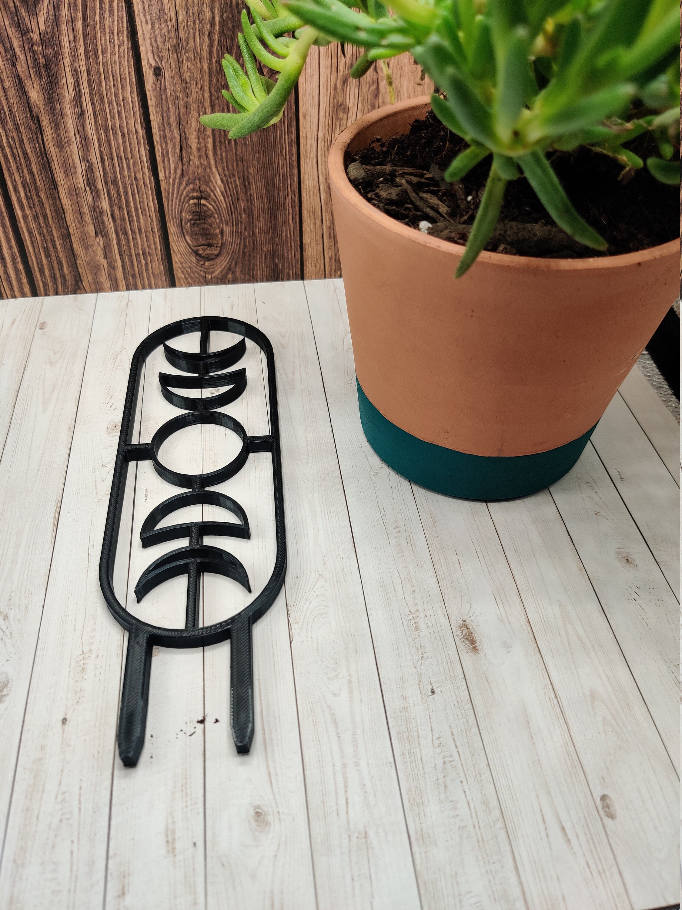 Indoor Trellis Plant Climber Plant Support Hoya Hoop | Etsy