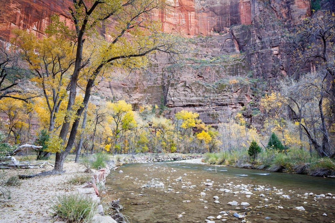 Zion Canyon Fall Colors Photography Print: Mountain Decor - Etsy