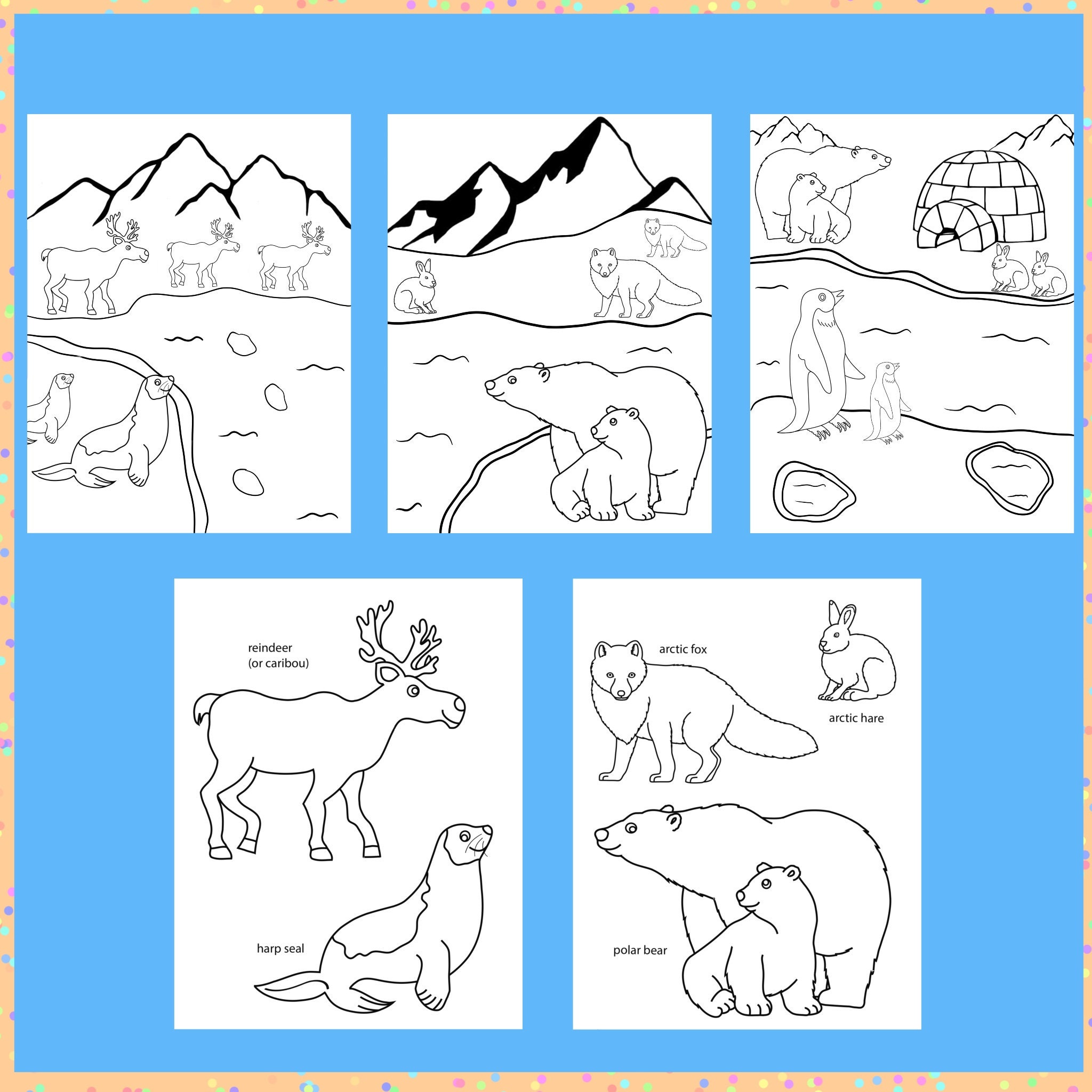 Arctic Animals Preschool Activities- 6 Activities - Etsy