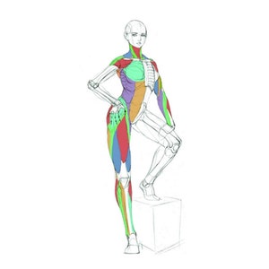 Ebook Game Animation Human Body Structure Modeling Hand-painted ...