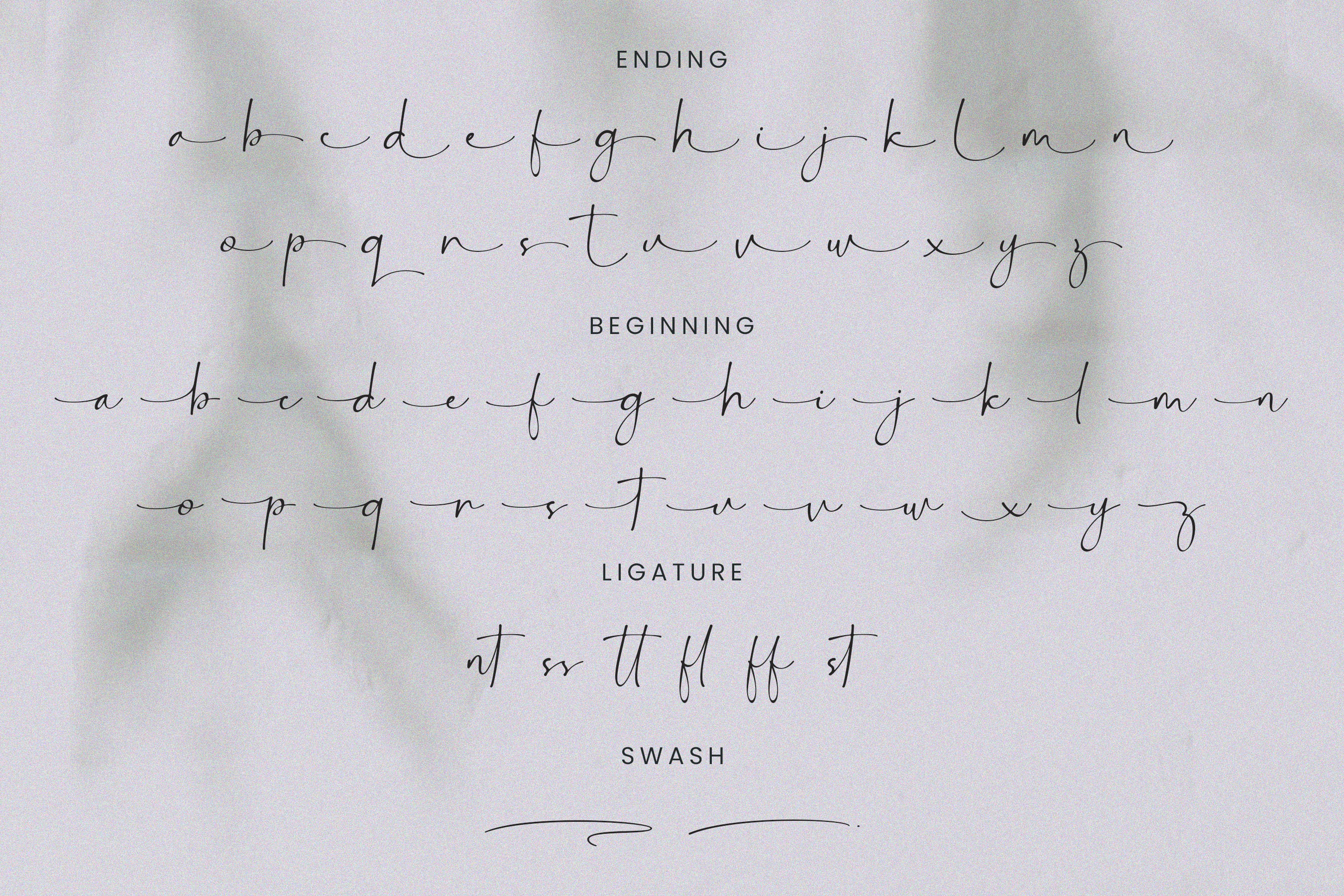 Bontana Elegant Calligraphy Font, Script Font, Calligraphy Font ...