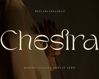 Noppo Font - Display Font, Boho Font, Modern Font, Canva Font ...