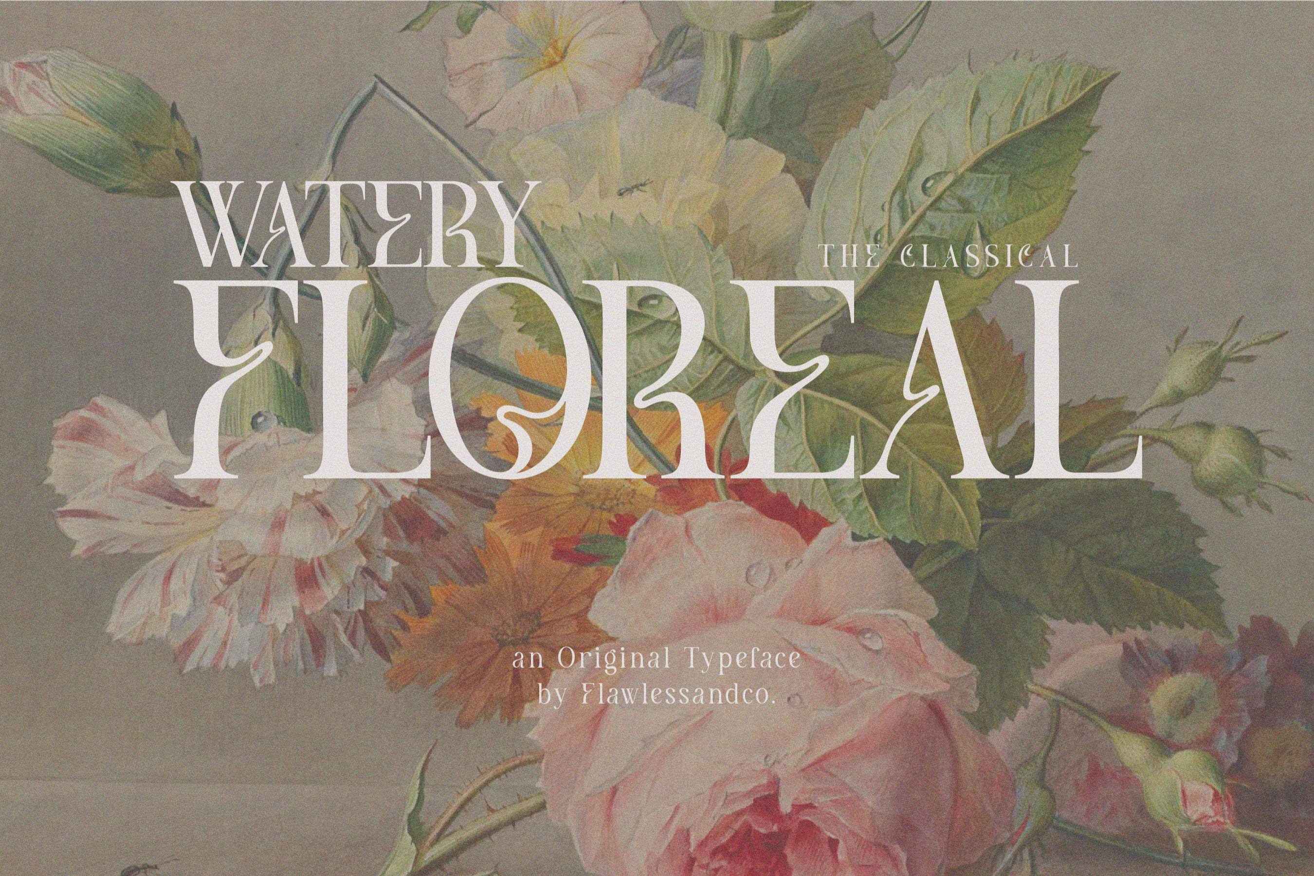 Meghan - Artsy Font, Modern Font, Milenial Font, Canva Font, Procreate ...