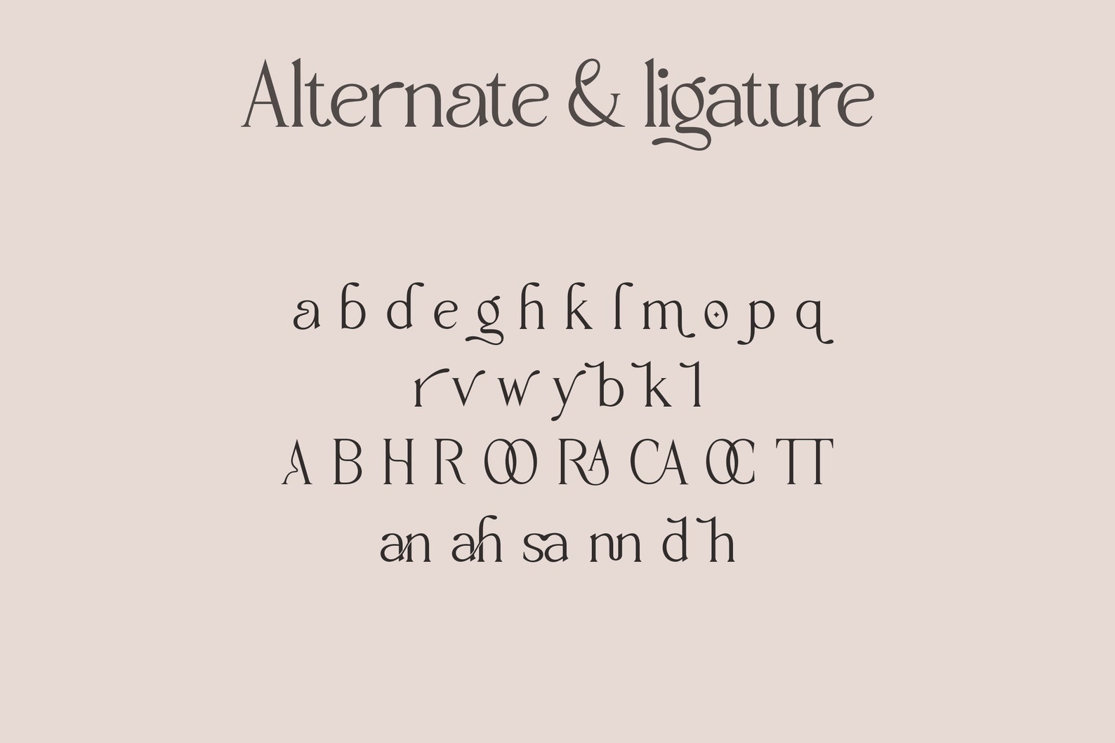 Magoa Modern Elegant Serif Font Boho Font Modern Font - Etsy